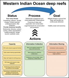 Oxford study provides a framework for defending deep reef ecosystems ...