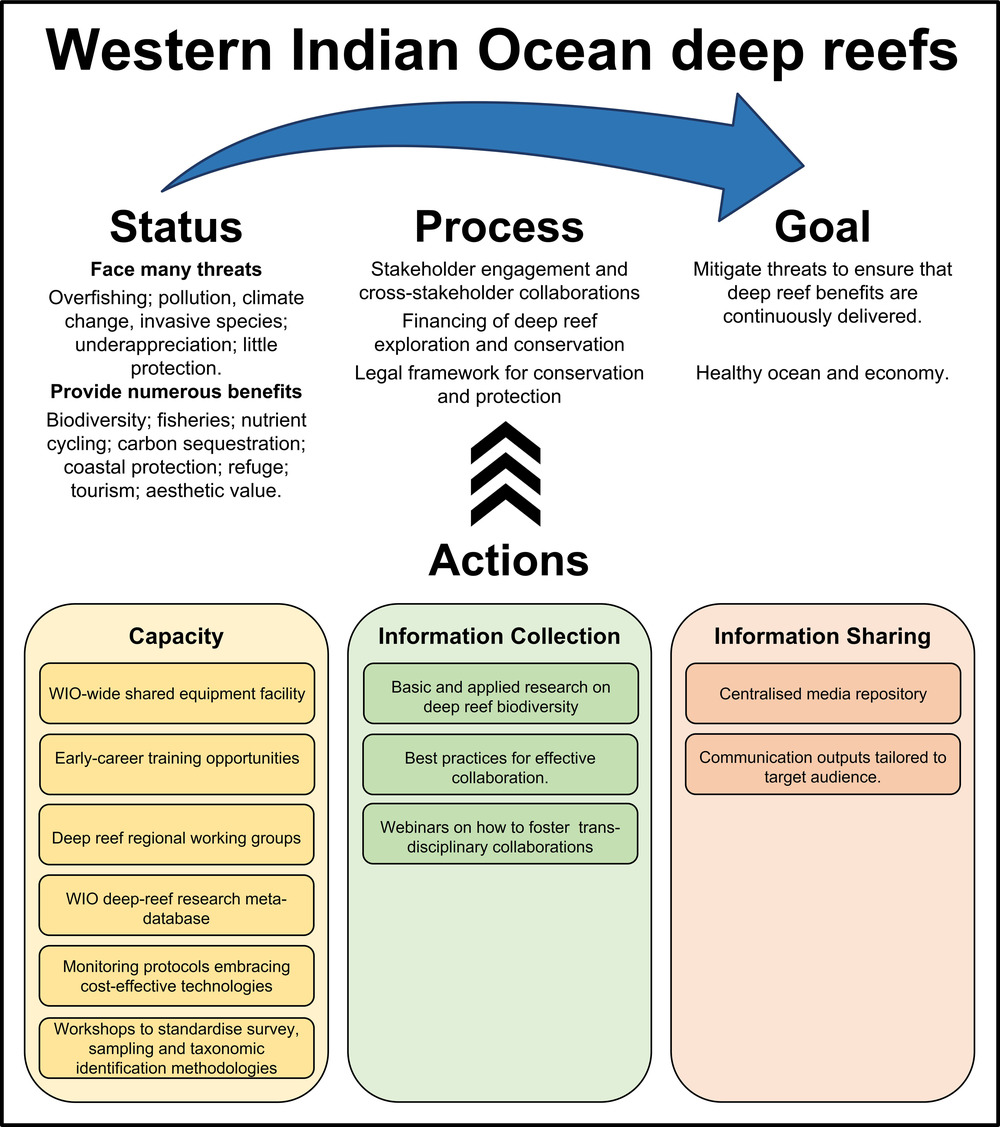 Oxford study provides a framework for defending deep reef ecosystems ...